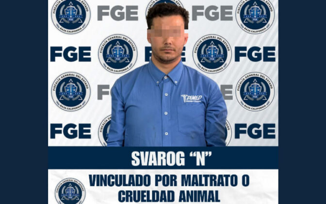 Obtiene Fiscalía Prisión Preventiva contra Imputado por Maltrato o ...
